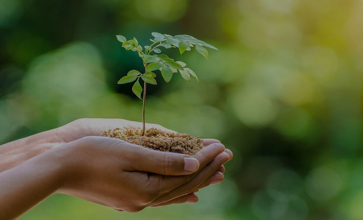 Enviroplus – Enviroplus